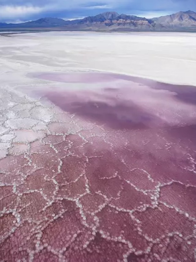 Cientistas tentam salvar Grande Lago Salgado antes que ele se torne ...