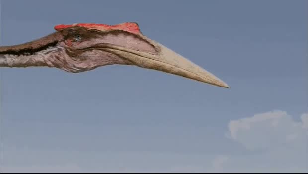 Pterossauro Quetzalcoatlus TNG Quetzalcoatlus Modelo Pterosauria