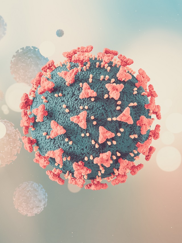 OMS classifica EG.5 como “variante de interesse” do coronavírus | Web ...