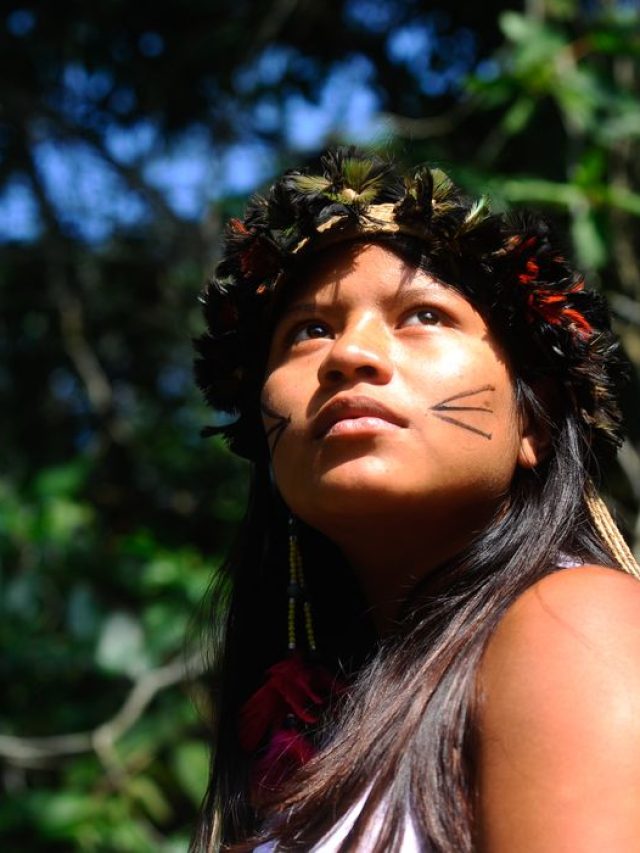 População indígena quase dobra em dez anos, aponta IBGE | Web Stories ...