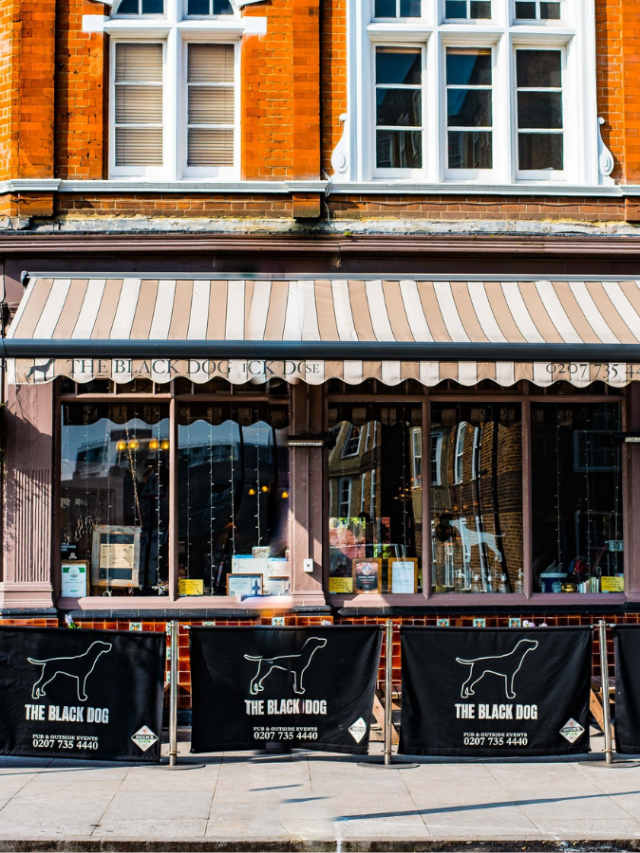 Conheça o The Black Dog, pub que ficou famoso por Taylor Swift | Web ...