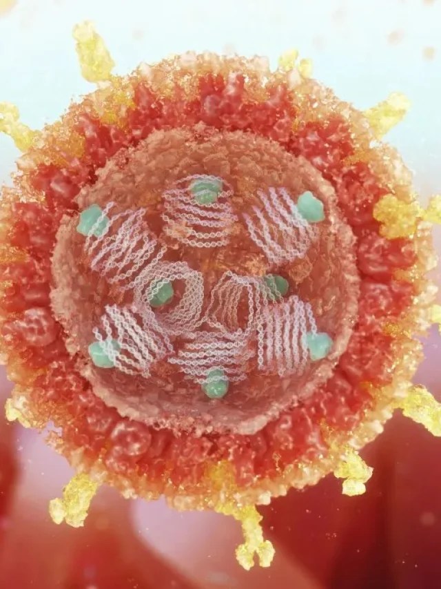 Rotavírus: saiba o que é e como evitar a infecção | Web Stories CNN Brasil