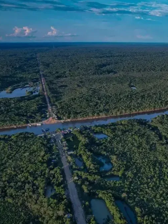 Brasil e vizinhos se unem por “Rota Amazônica”; saiba o que é | Web ...