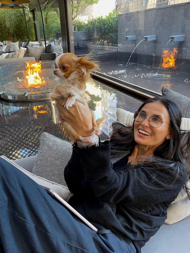 Conheça Pilaf, cachorrinha “luxuosa” de Demi Moore | Web Stories CNN Brasil