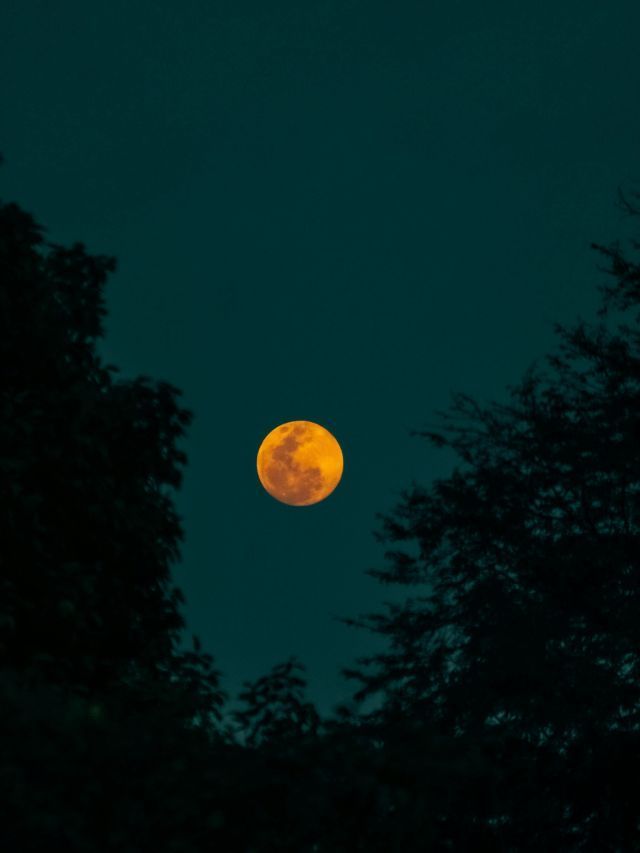 Por que a Lua fica da cor laranja de vez em quando? | Web Stories CNN ...