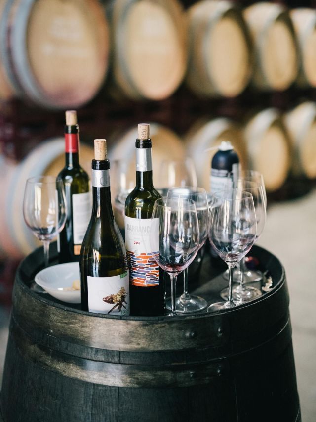 5 vinícolas imperdíveis para visitar perto de São Paulo | Web Stories ...